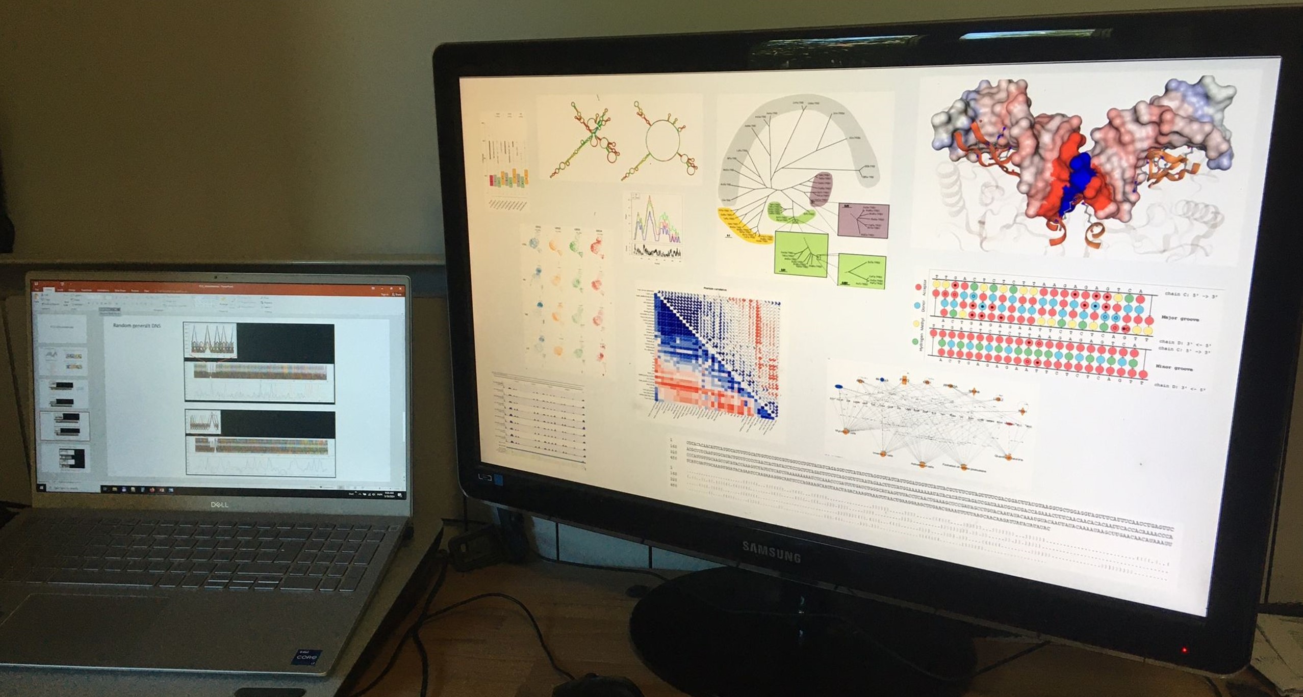 Homepage [www.brc.hu]